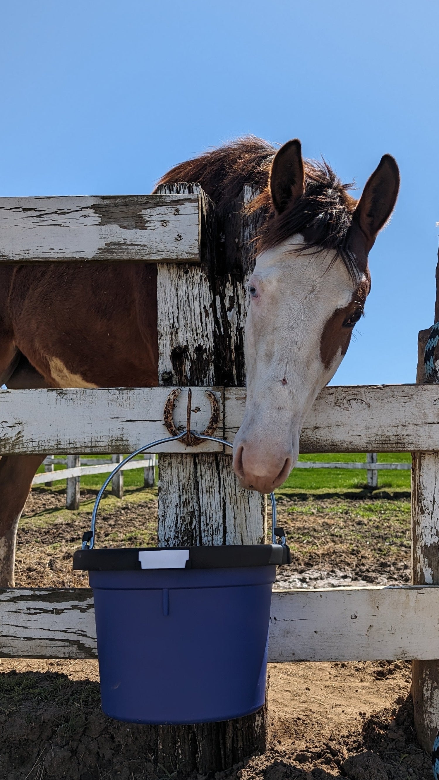 BUCKETMATE